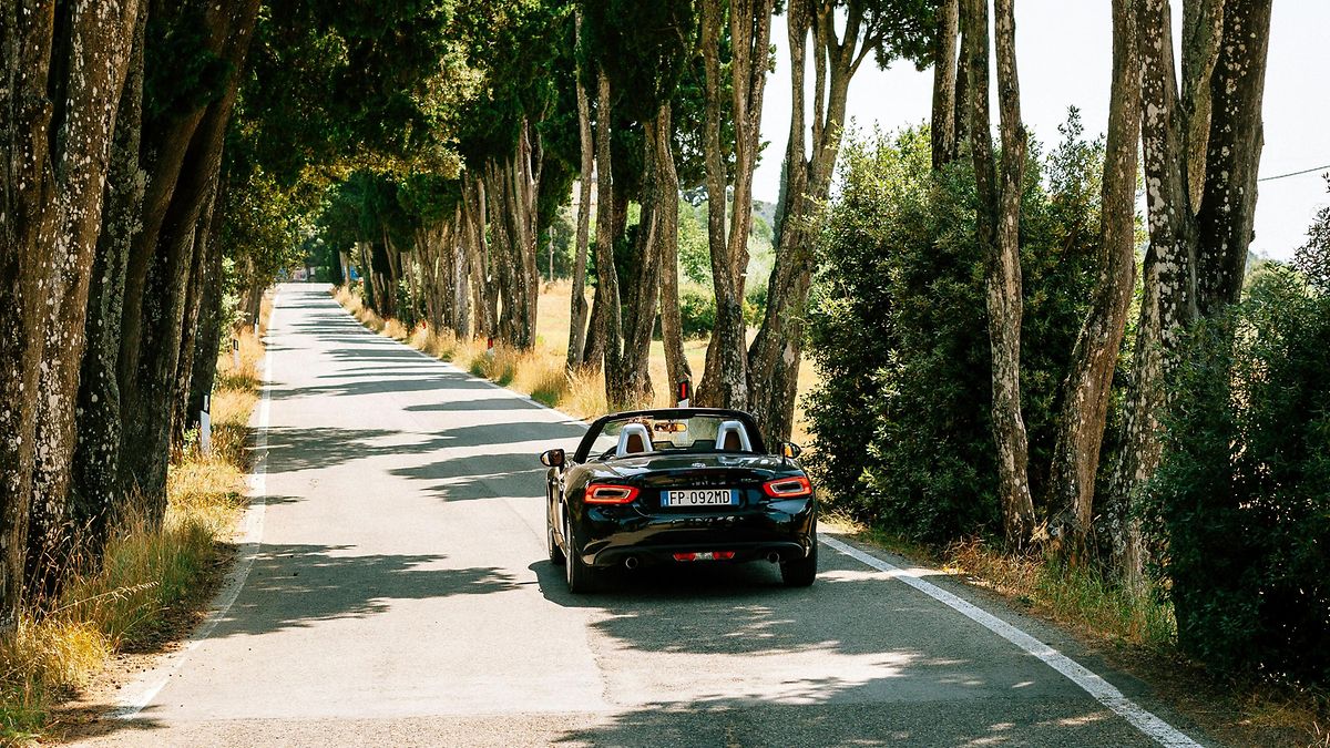 75 years of the Green Insurance Card